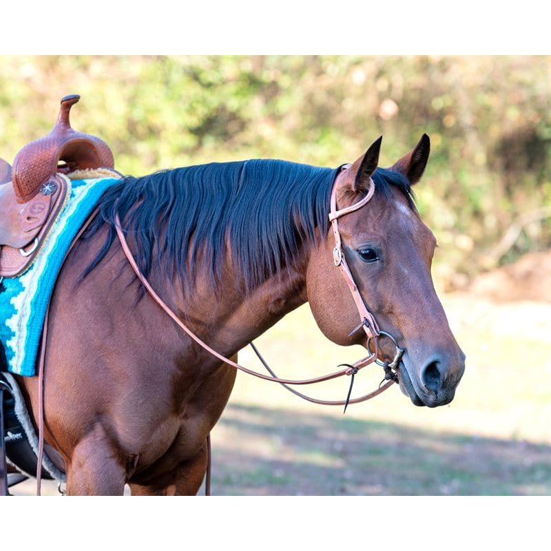 Western Tack and Horse Halters | Perri’s Leather