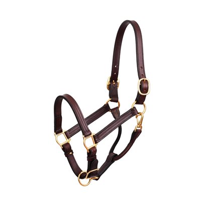 1" COB HAVANA SHOW HALTER