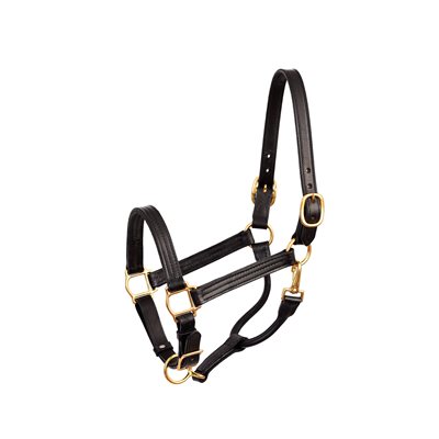 1" YEARLING BLACK SHOW HALTER W / BRASS