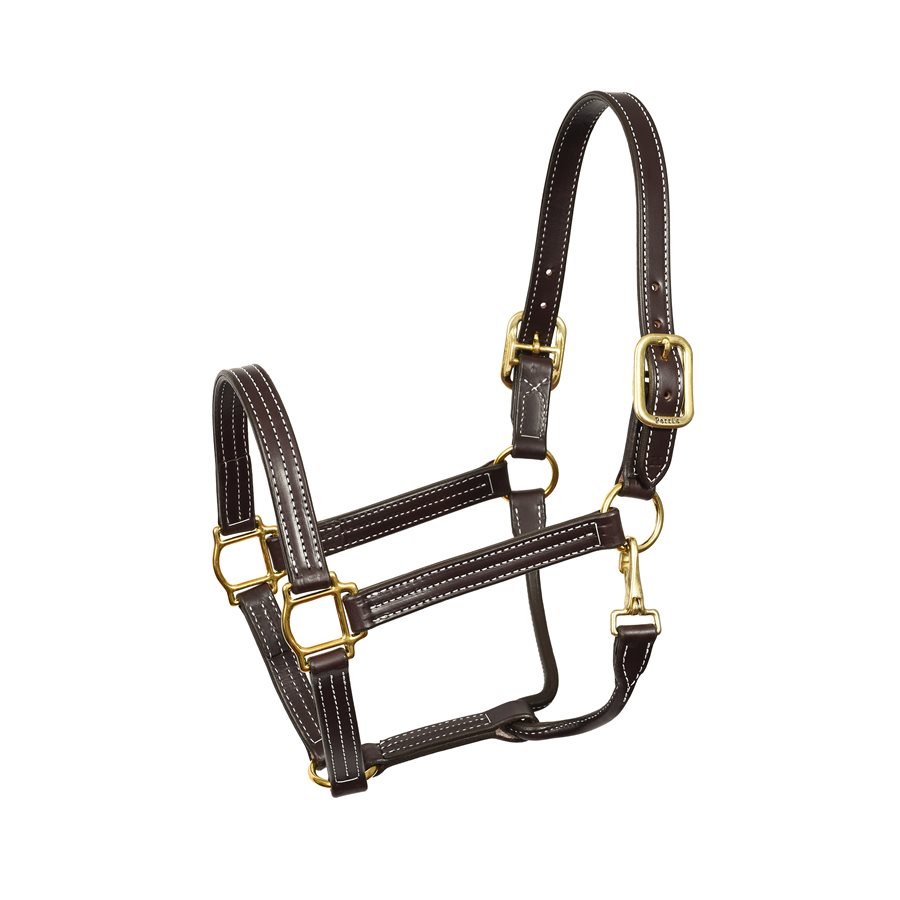 HORSE HAVANA PROFESSIONAL SHOW HALTER
