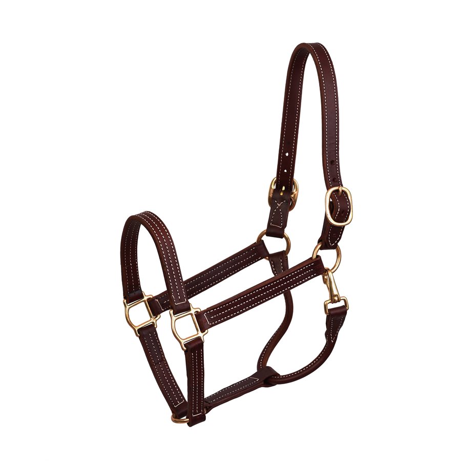 Leather Horse Halters - Perri's Leather