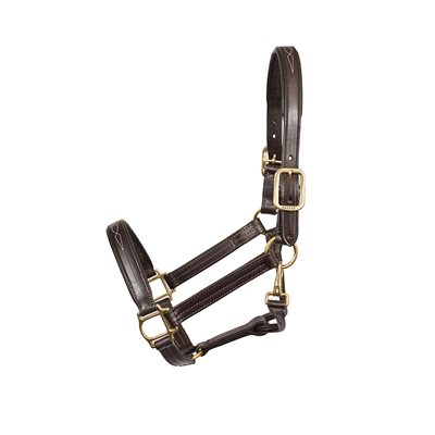 FANCY STITCHED HORSE LEATHER HALTER HAVANA / HAVANA PADDING