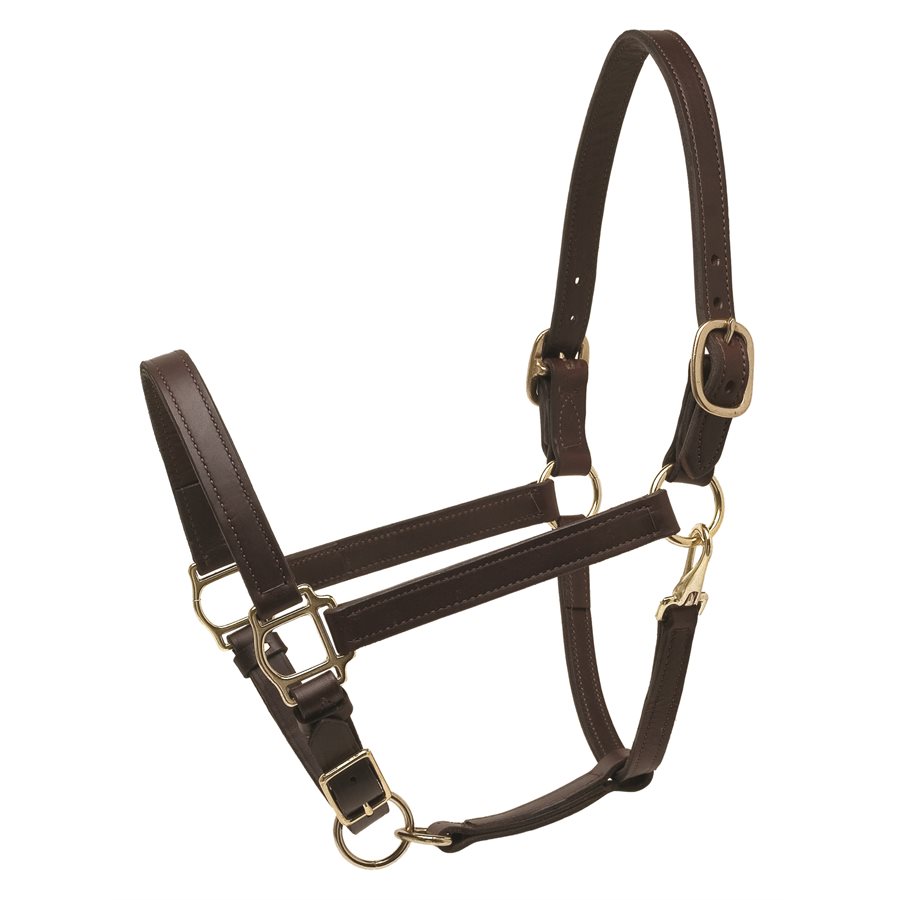 HORSE ROYAL HIPPO SAFETY HALTER