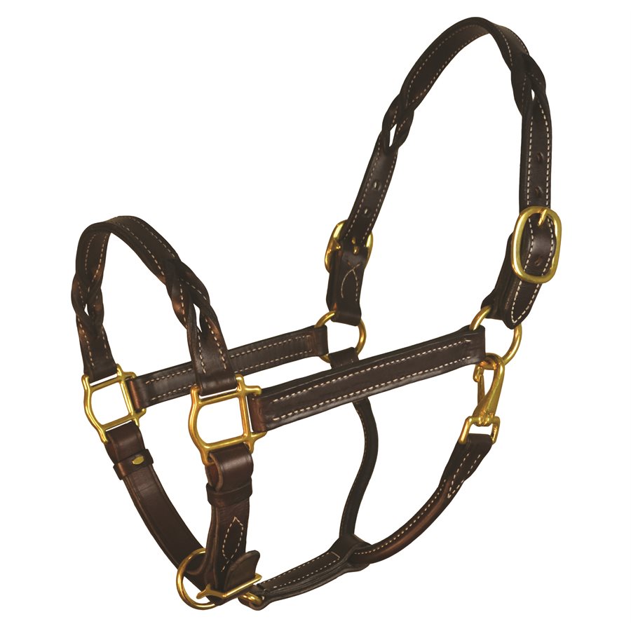 Leather Horse Halters - Perri's Leather