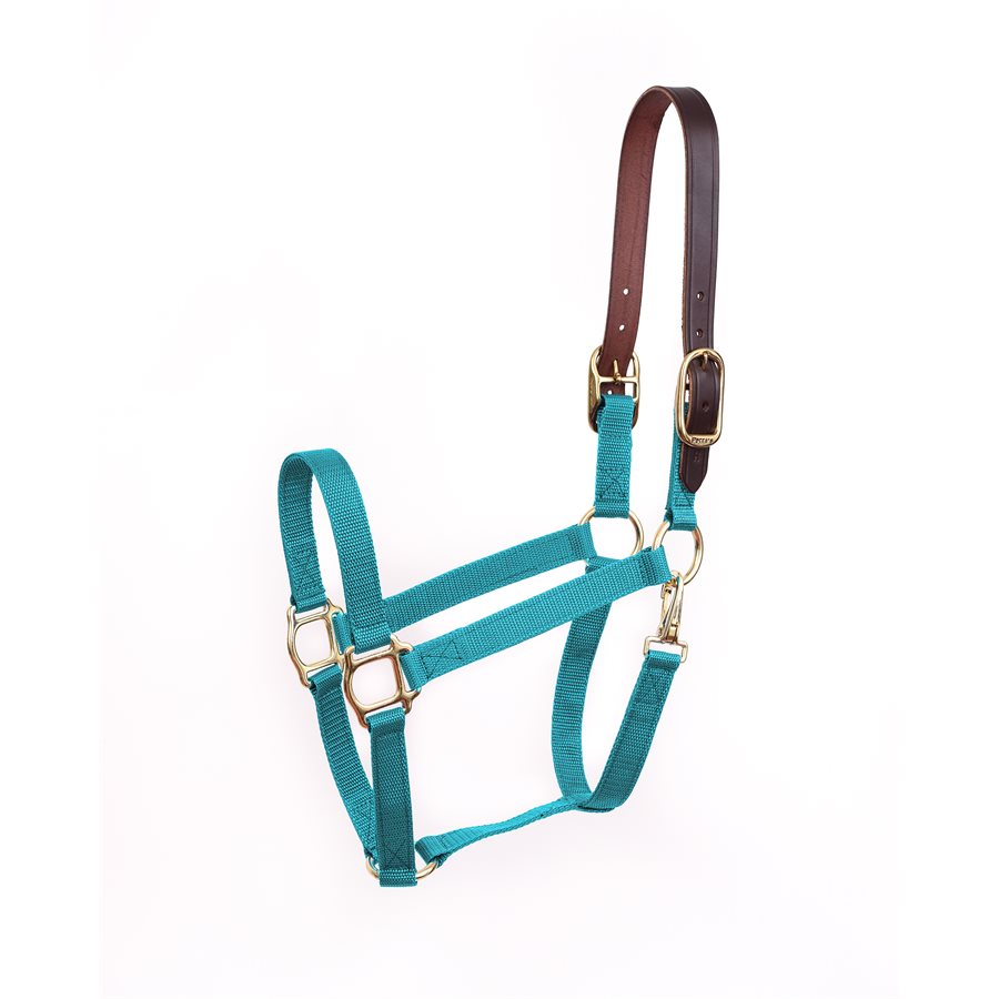 Nylon Horse Halter - Perri's Leather