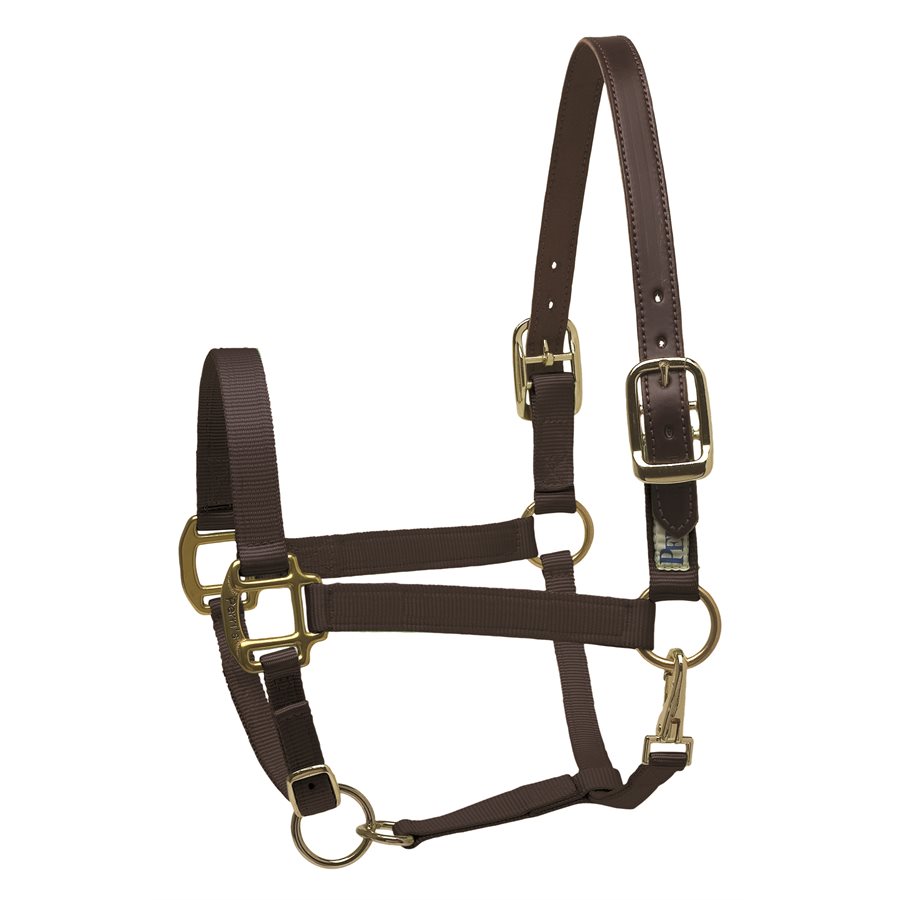 DRAFT BLACK SAFETY HALTER