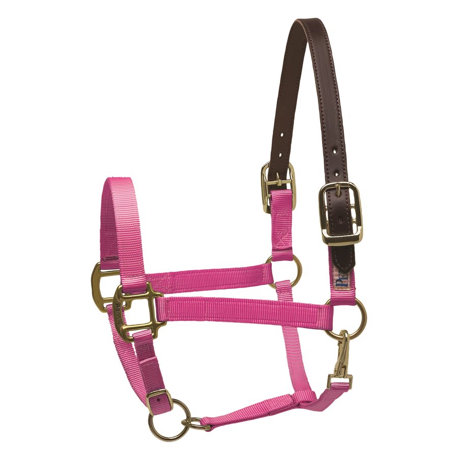 HORSE HOT PINK SAFETY HALTER