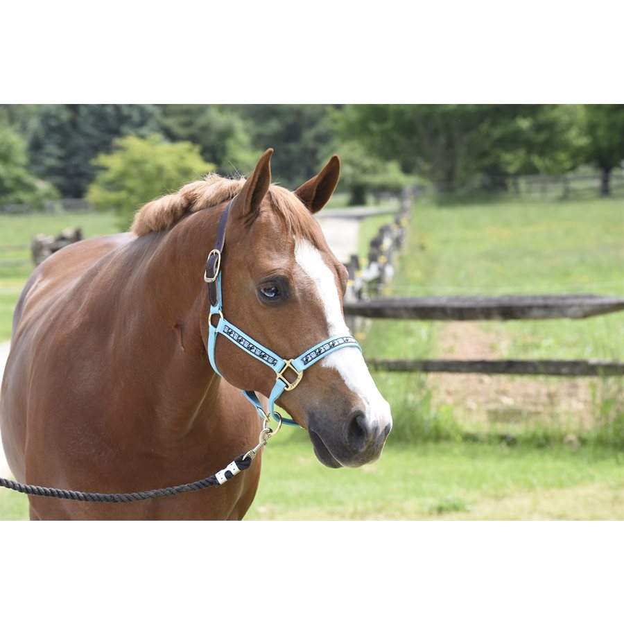 HORSE ROYAL HIPPO SAFETY HALTER