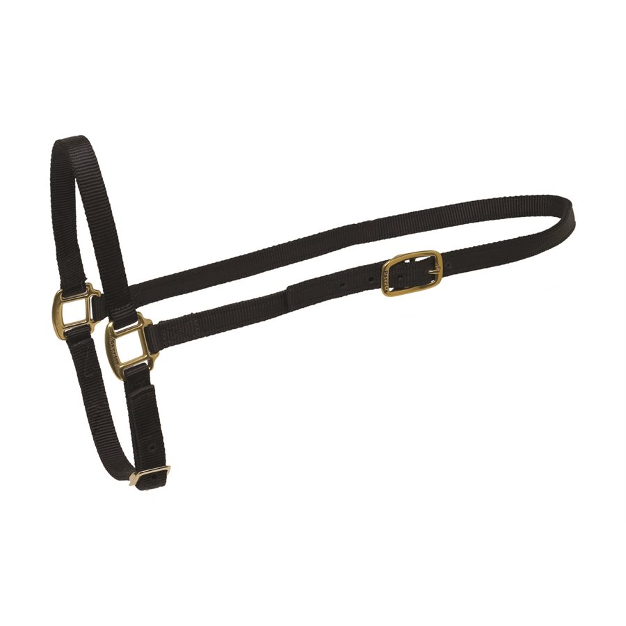 Nylon Horse Halter - Perri's Leather