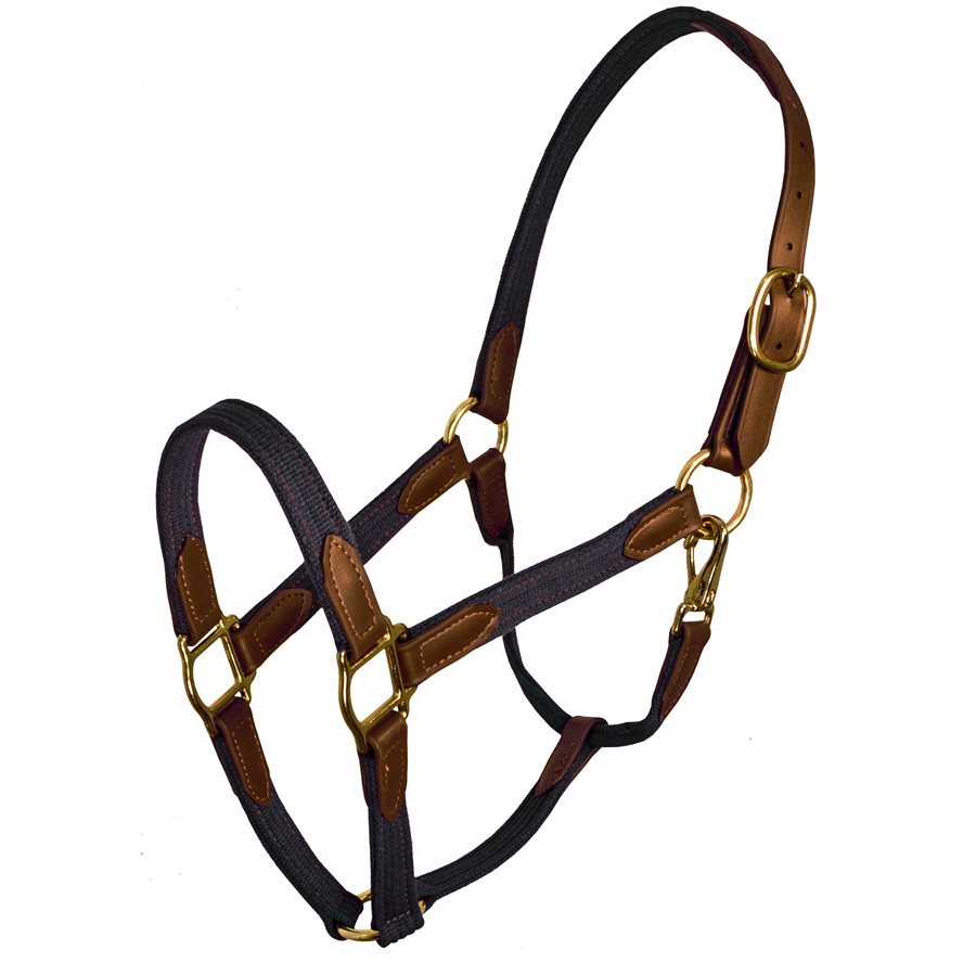 Nylon Horse Halter - Perri's Leather
