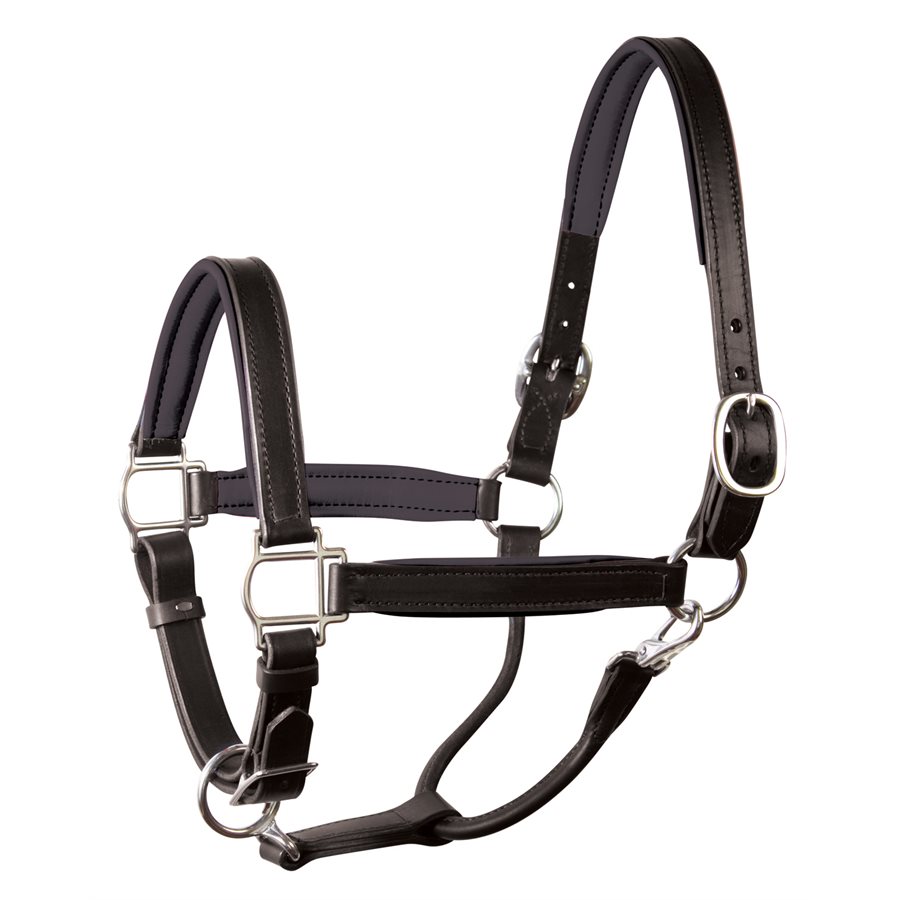 Leather Horse Halters - Perri's Leather