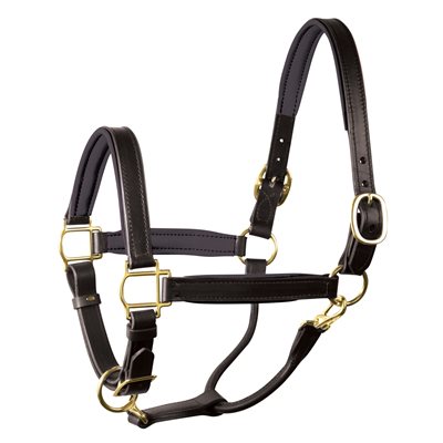 Soft Padded Leather Halters for Horses | Perri’s Leather