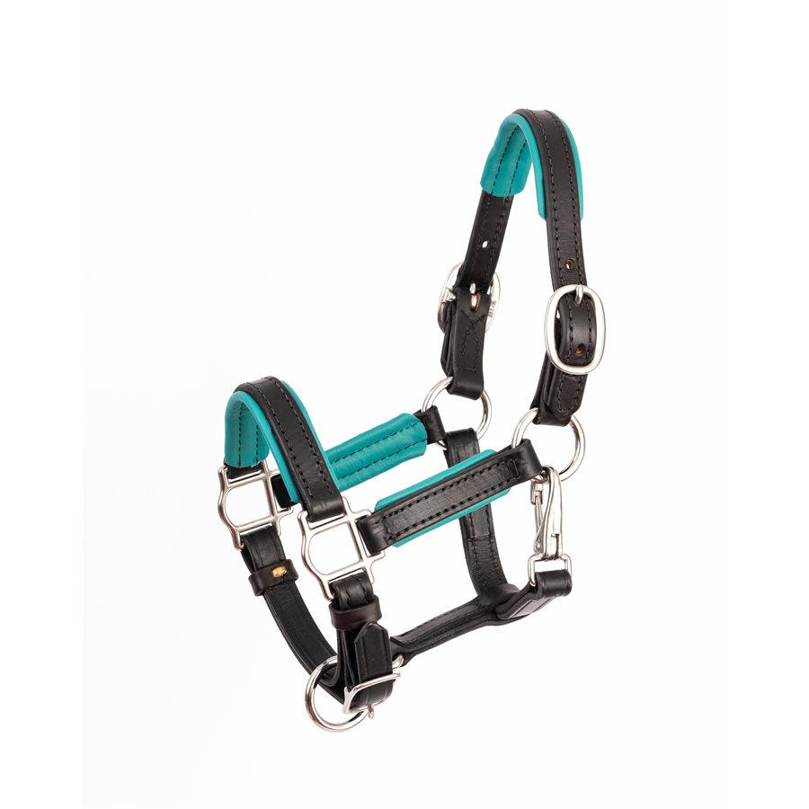 Leather Horse Halters - Perri's Leather