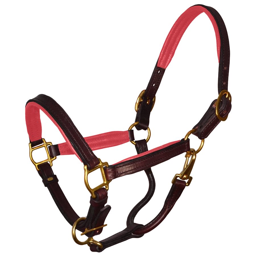 PONY HAVANA / PINK PADDED HALTER