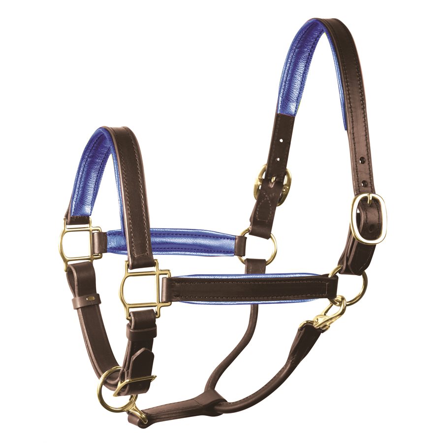 1" HORSE METALLIC HAVANA / BLUE PADDED HALTER W / BRASS HARDWARE