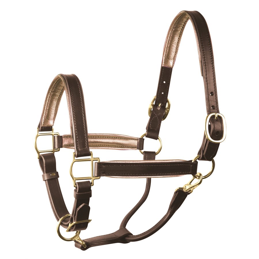 1" OVERSIZE METALLIC HAVANA / PLATINUM PADDED HALTER W / BRASS HARDWARE