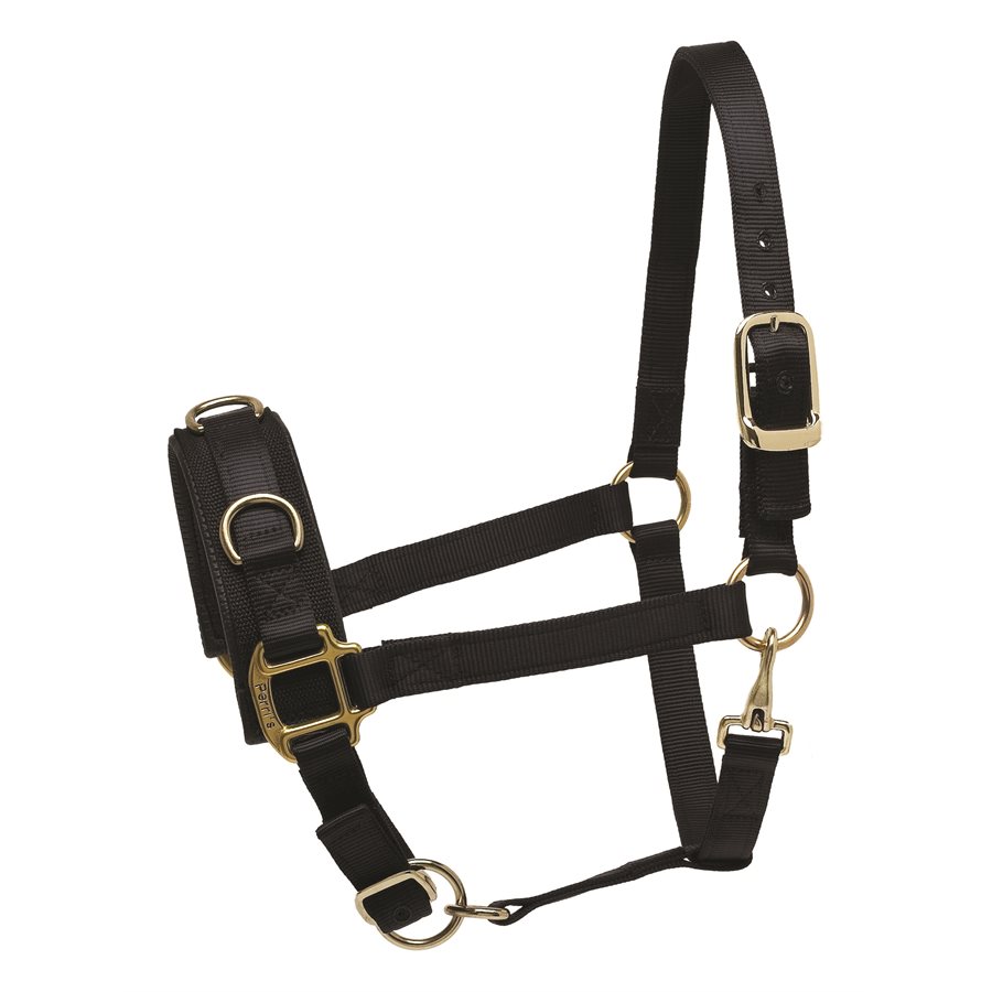HORSE BLACK NYLON LUNGE CAVESON