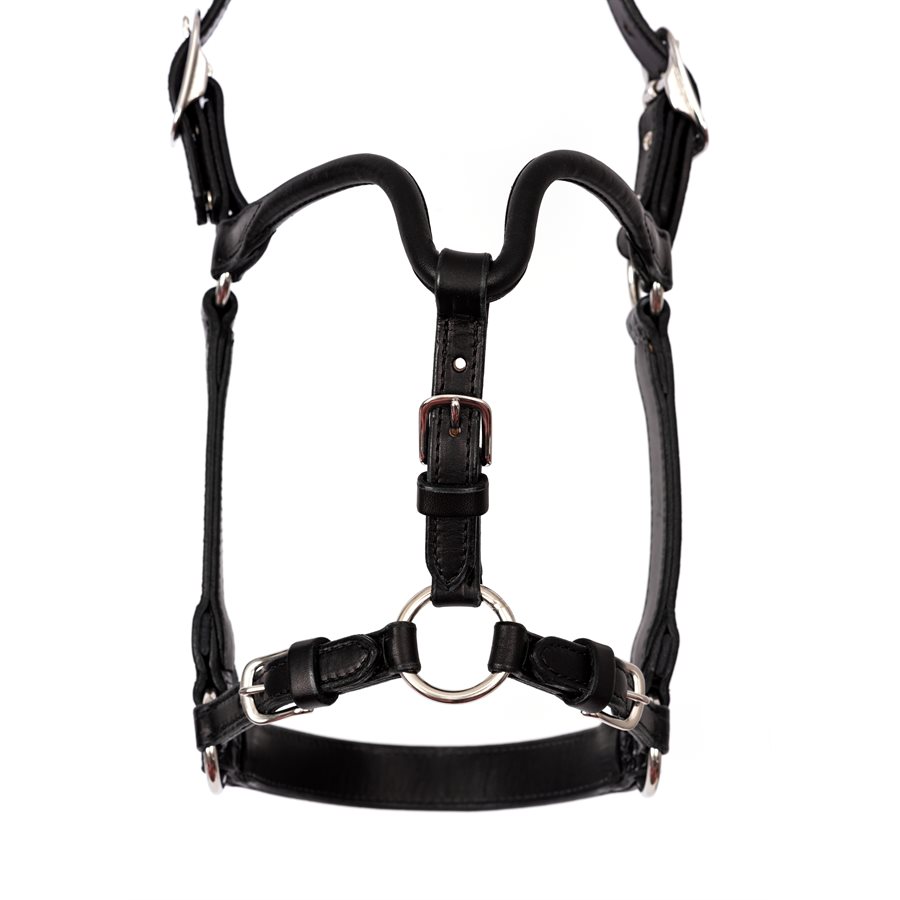 Western Horse Show Halter | Crocodile Embossed | Perri’s Leather