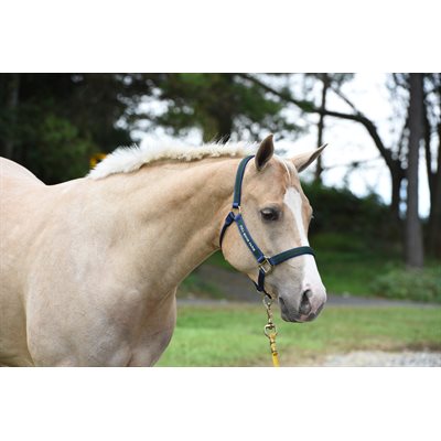 CUSTOM EMBROIDERED NYLON SUPER HALTER