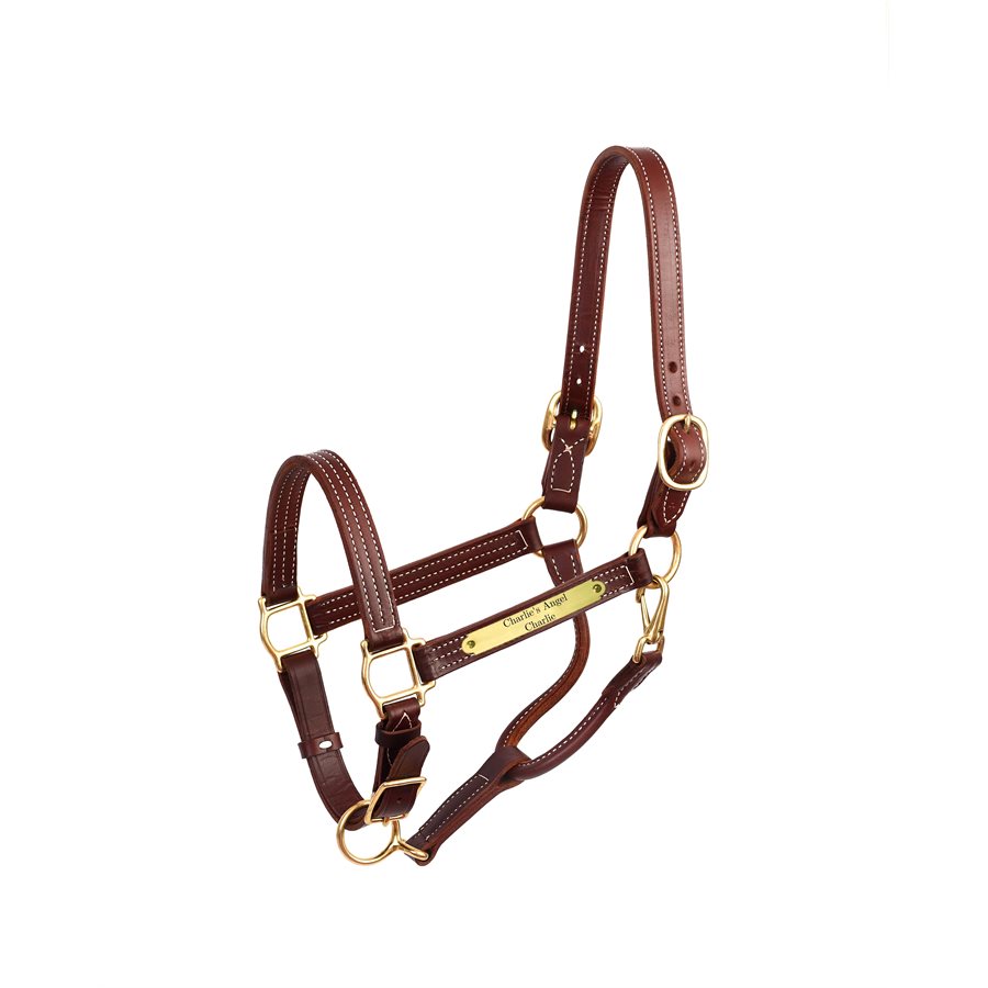 CHESTNUT HORSE PREMIUM 1" SHOW HALTER W / PLATE