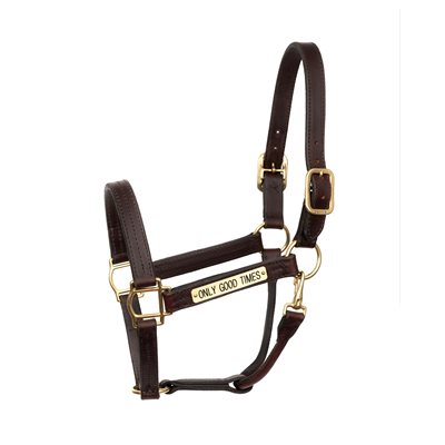 HEAVY DUTY COB HAVANA HALTER W / PLATE