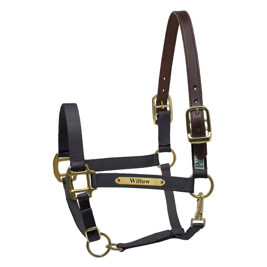 BLACK COB PREMIUM NYLON SAFETY HALTER W / PLATE KIT