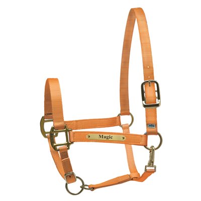 ORANGE HORSE NYLON SUPERHALTER W / PLATE KIT