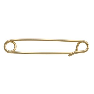 LARGE GOLD PLAIN STOCK PIN