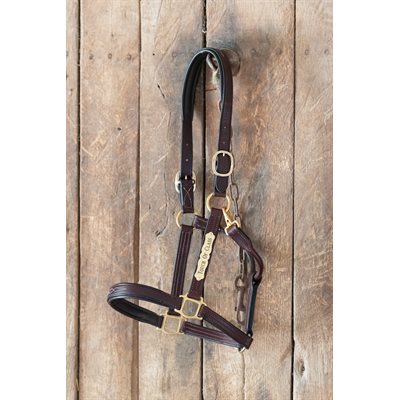 FANCY STITCHED HORSE LEATHER HALTER WITH PLATE