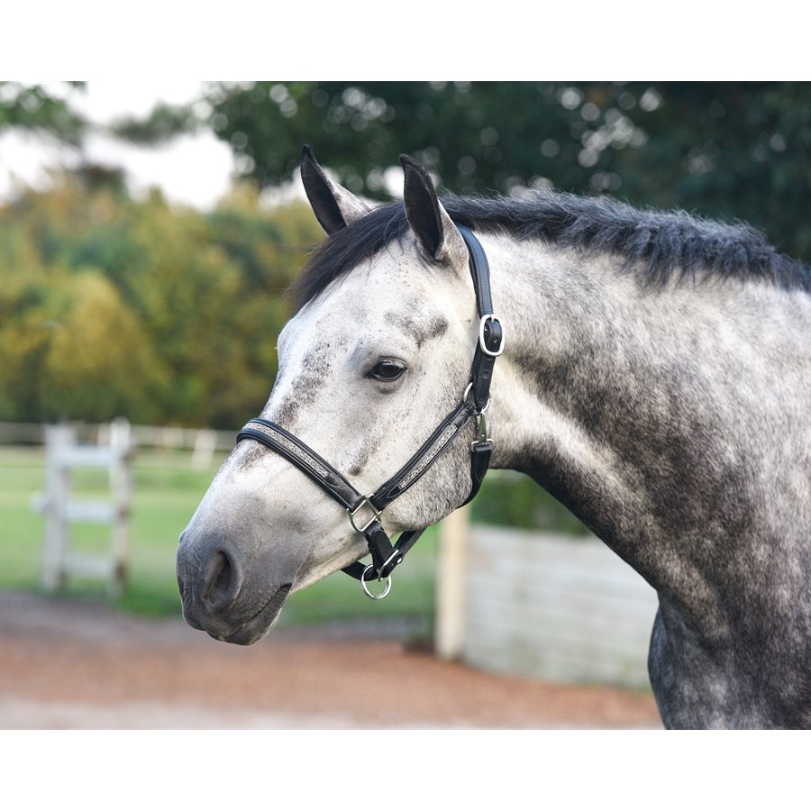 COB SILVER BLING BLACK PADDED HALTER W / STAINLESS STEEL HARDWARE